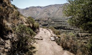 The Best Hiking Trails in the Peruvian Andes - Enigma Blog