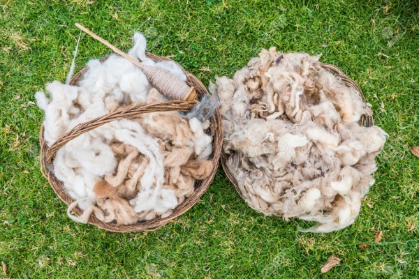 Real Alpaca Wool or Synthetic Material? Know What You’re Buying ...